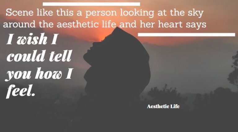 Why Aesthetic Life - The Aesthetic Life