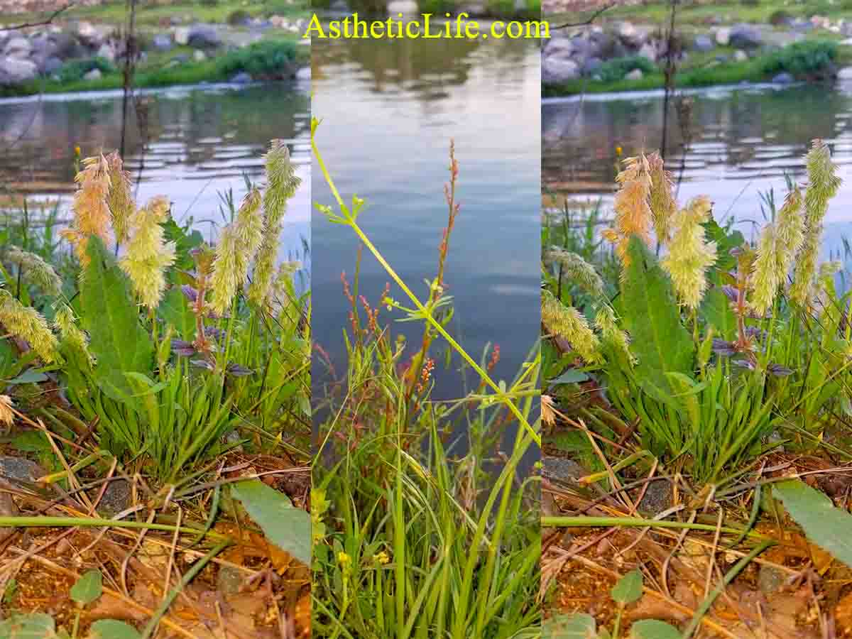 Life Blessing Moments try yourself you will have a Happy Life - The ...
