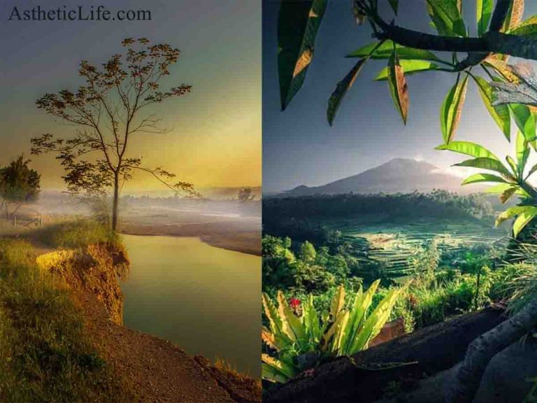 The Beautiful NATURE Aesthetic View - The Aesthetic Life