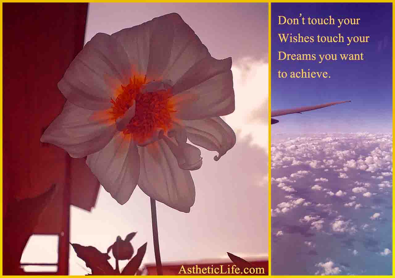 The Beautiful NATURE Aesthetic View - The Aesthetic Life