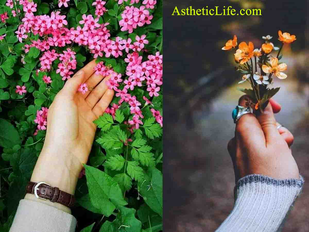 The Beautiful NATURE Aesthetic View - The Aesthetic Life