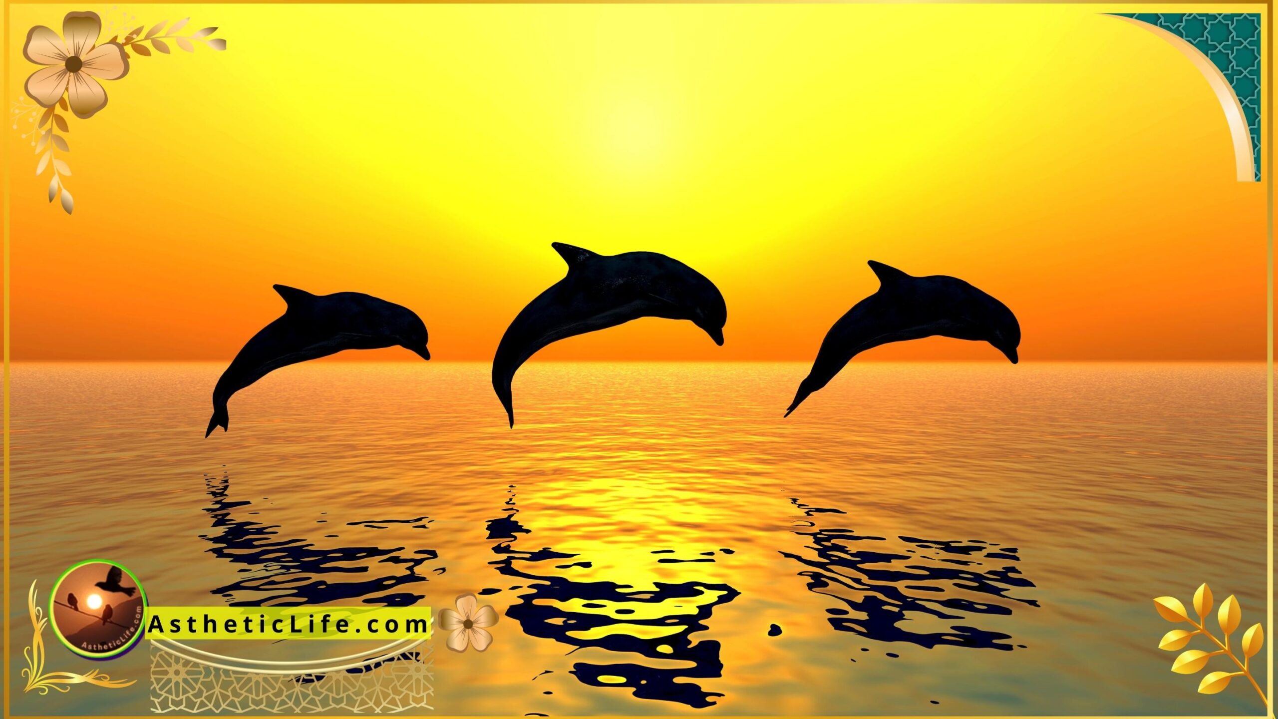 Most Interesting things you probably didn’t know about Eyes - The ...