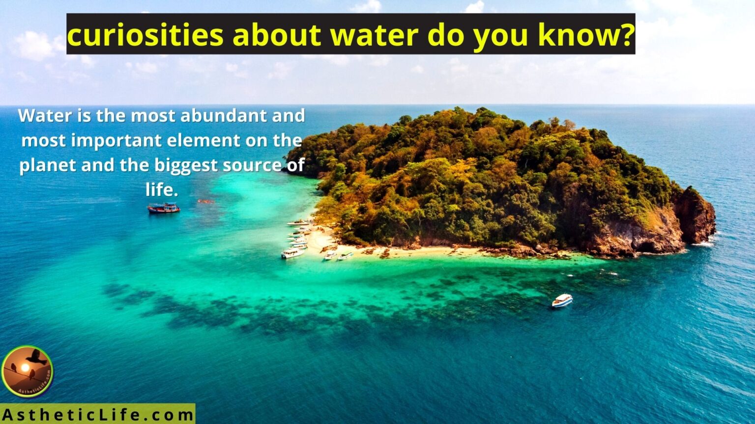 The FACT Water is Life on Earth Planet - The Aesthetic Life