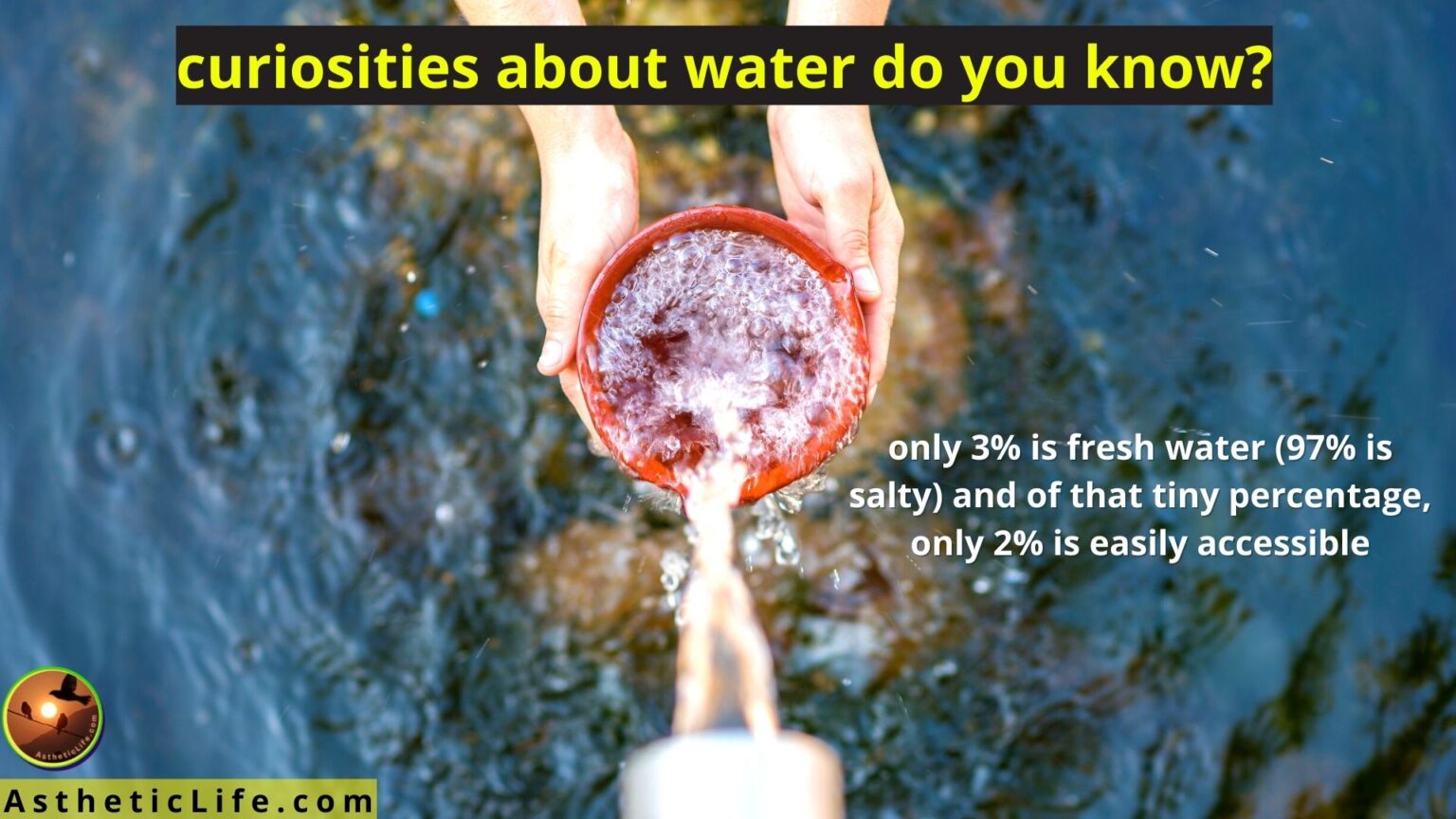 The FACT Water is Life on Earth Planet - The Aesthetic Life