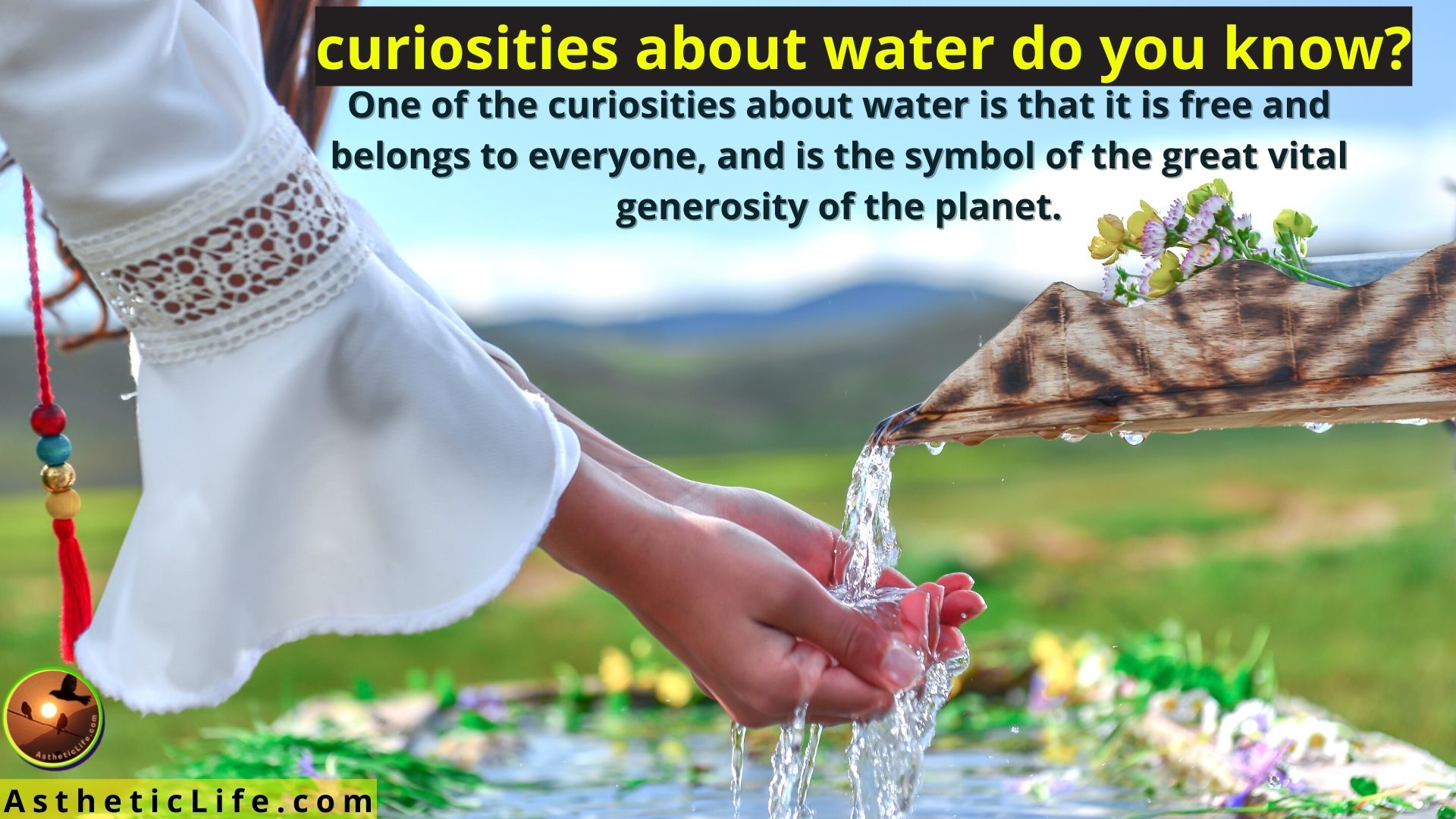 The FACT Water is Life on Earth Planet - The Aesthetic Life