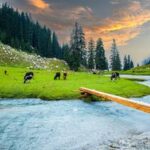 Aesthetic Tourist unseen Spots is the Queen of Valleys in Pakistan is ...