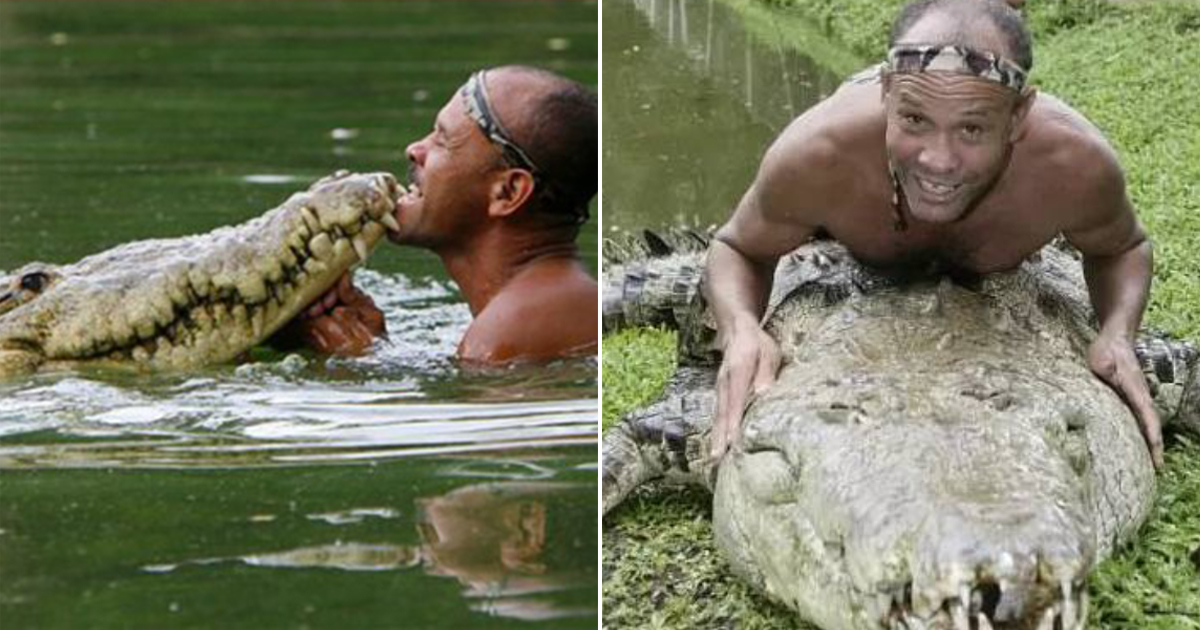 The Heartwarming Bond Between a Man and a Wild Crocodile - The ...