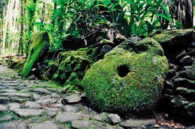 Stone currency. What is money? - The Aesthetic Life