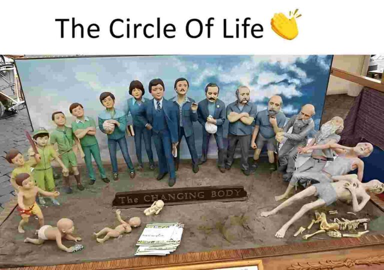 The Circle of Life: How Our Bodies Change Over Time - The Aesthetic Life